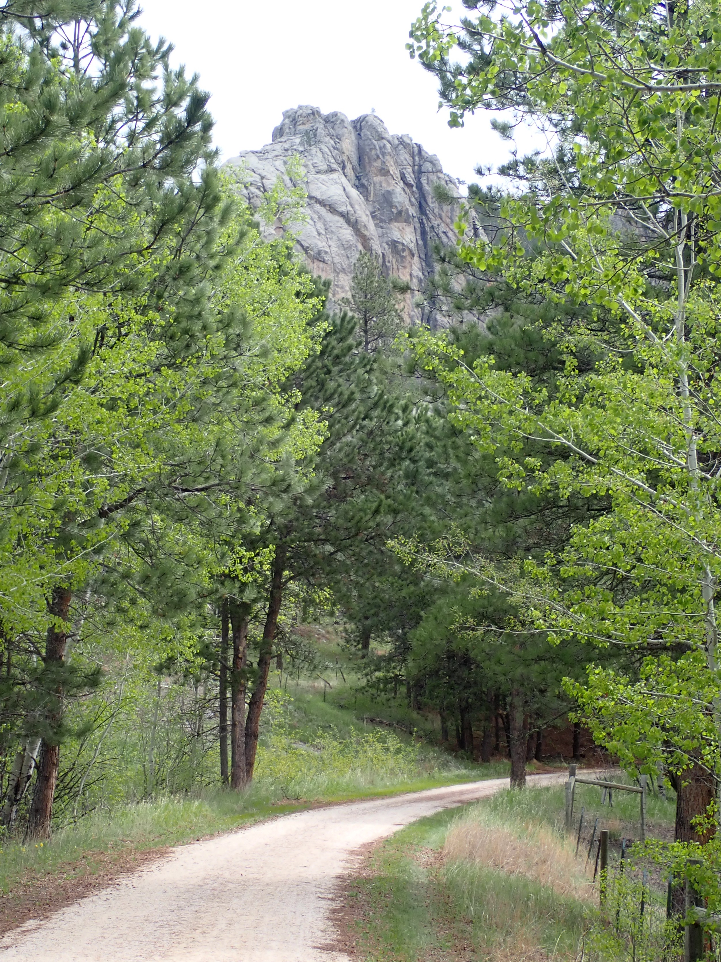 June 4: Surprising Weather – Countiss 2023 USA Tour